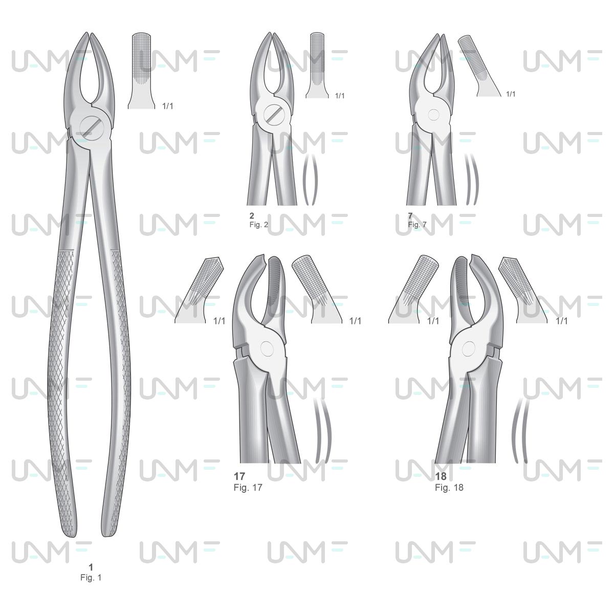 Extraction Forceps,English Pattern