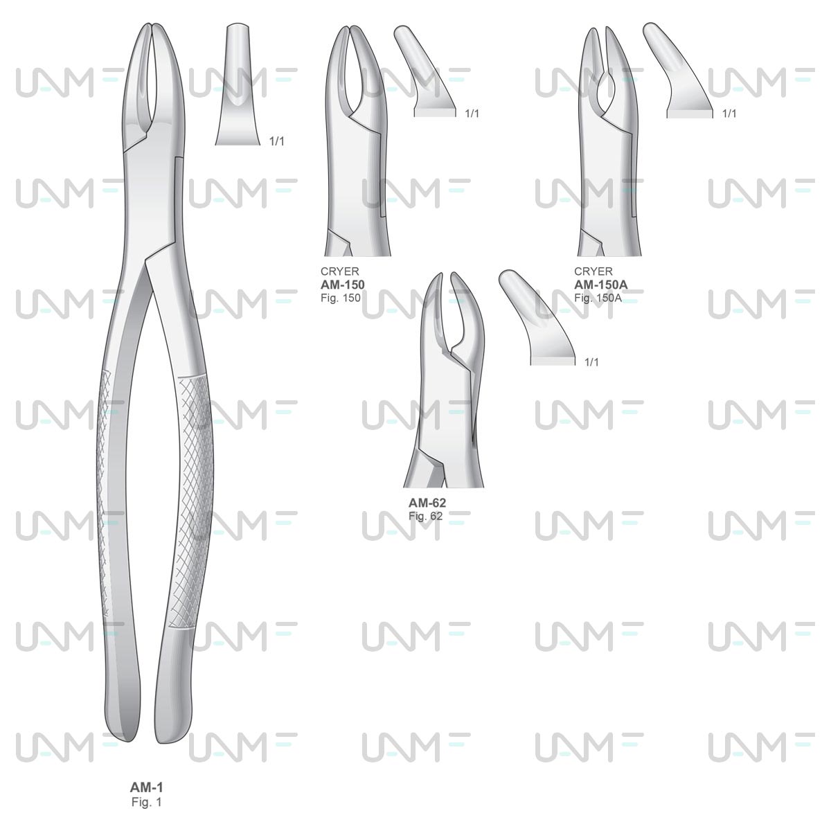 Extraction Forceps,American Pattern