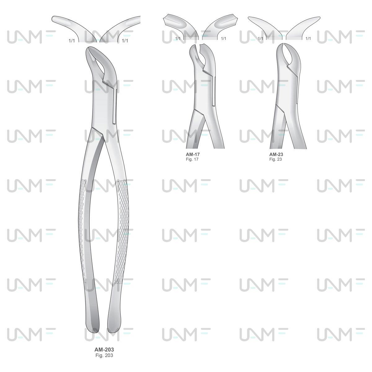 Extraction Forceps,American Pattern